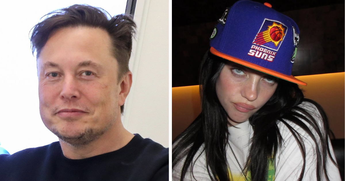 Elon Musk's response to Billie Eilish calling him 'pathetic coward'