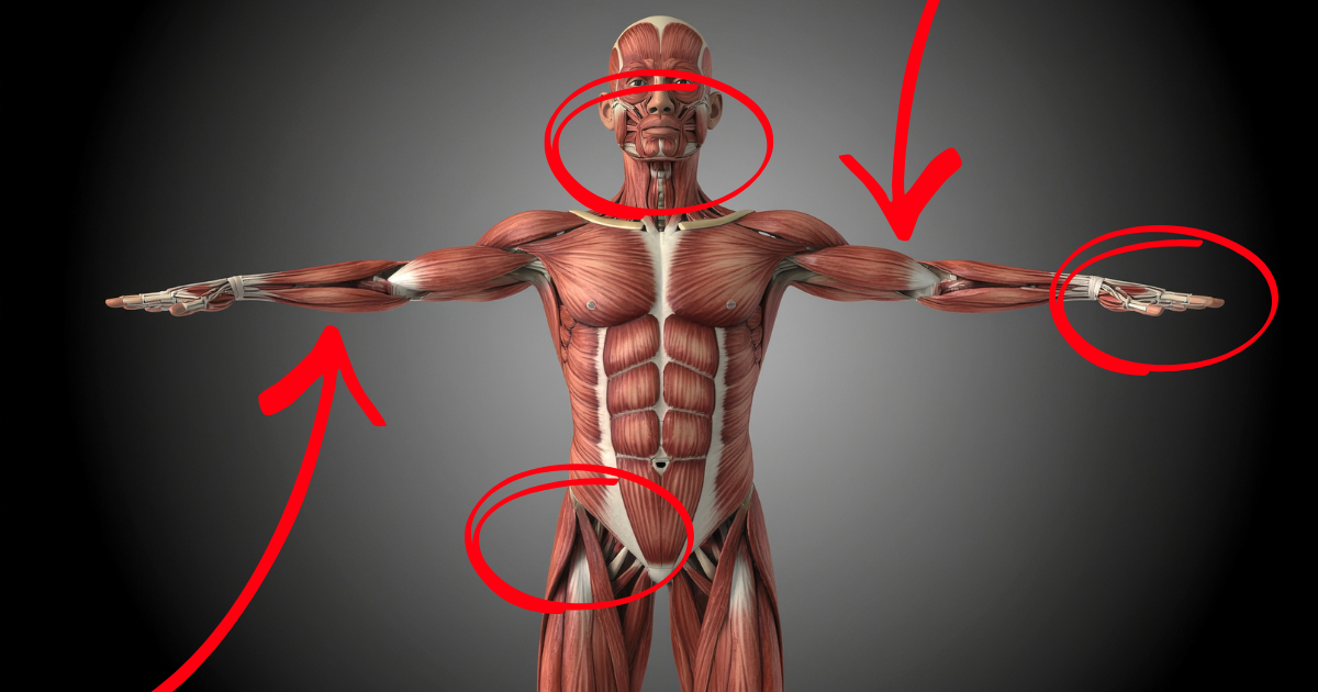 Here's how much a 'body broker' would get for your body parts