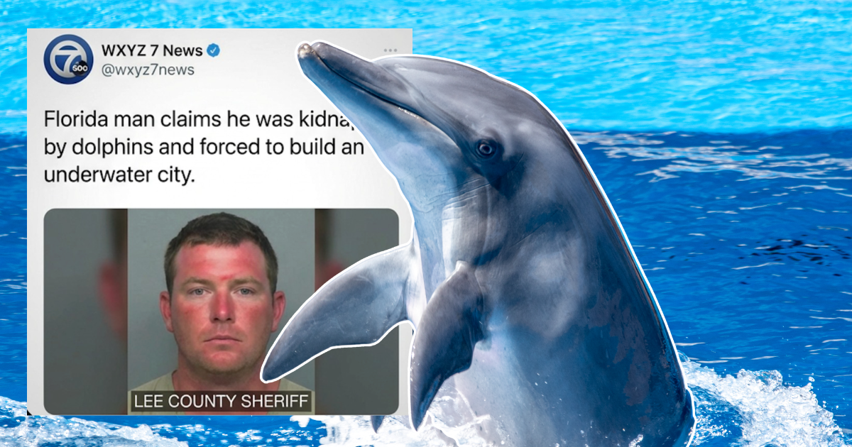 The full story: The man that was kidnapped by dolphins